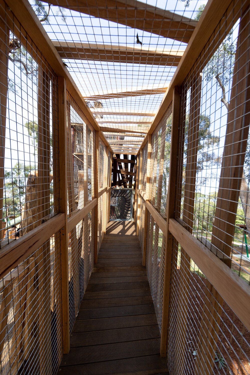 Oatley Bush Park Playground | Portfolio | FORGE