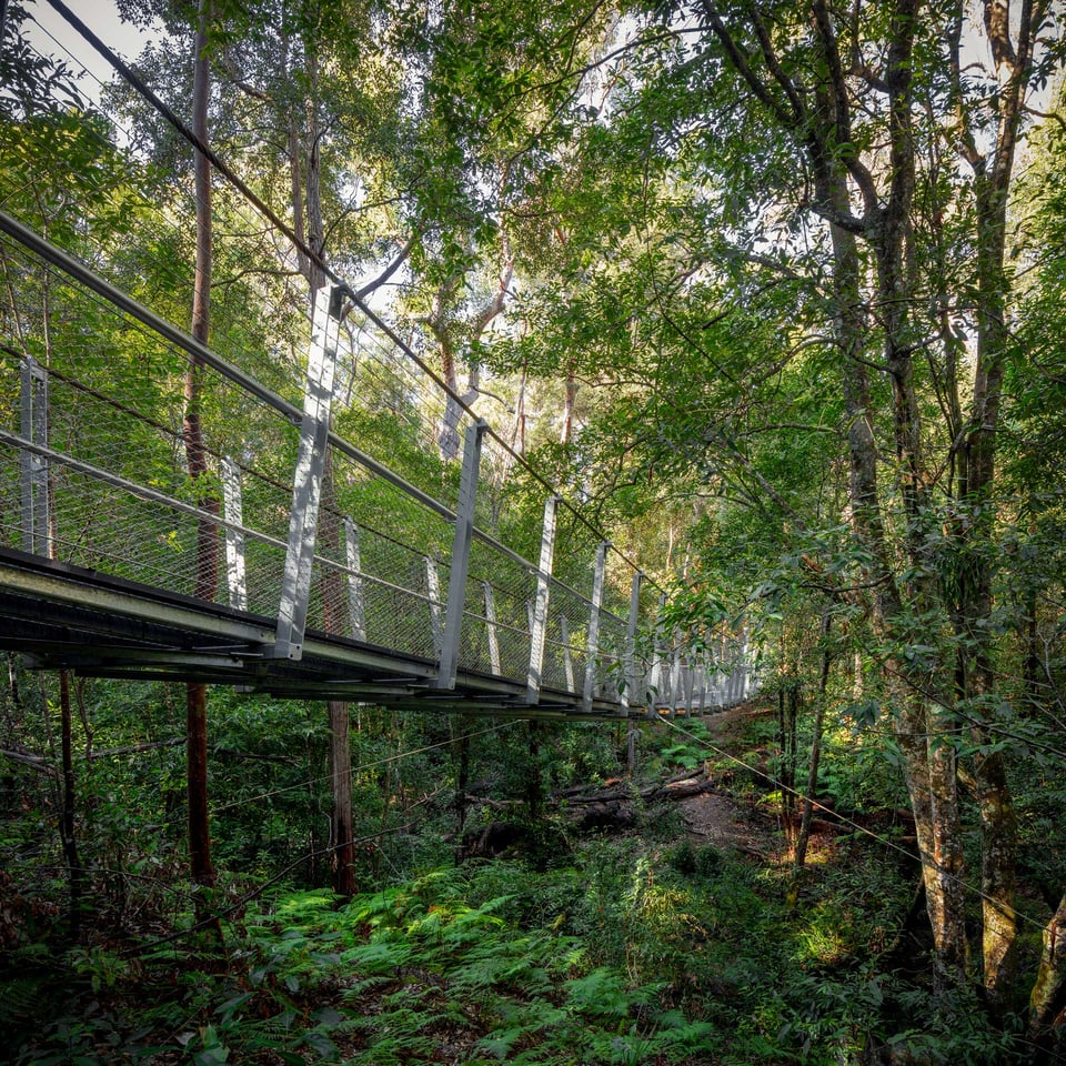 Pyes Creek Swing Bridge | Portfolio | FORGE
