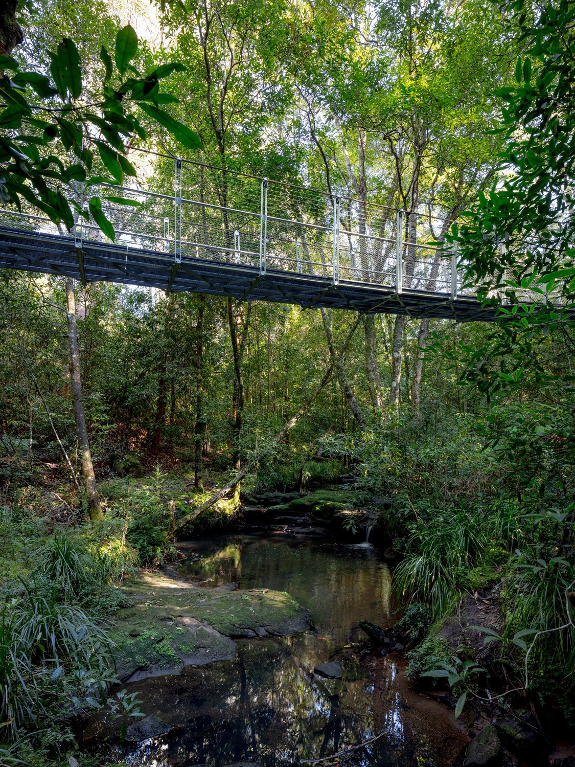 Pyes Creek Swing Bridge | Portfolio | FORGE