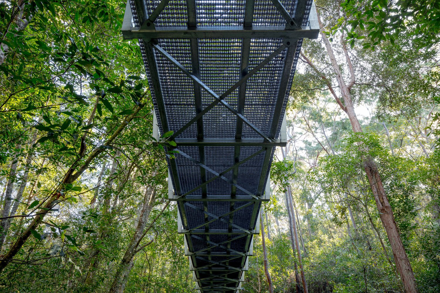 Pyes Creek Swing Bridge | Portfolio | FORGE