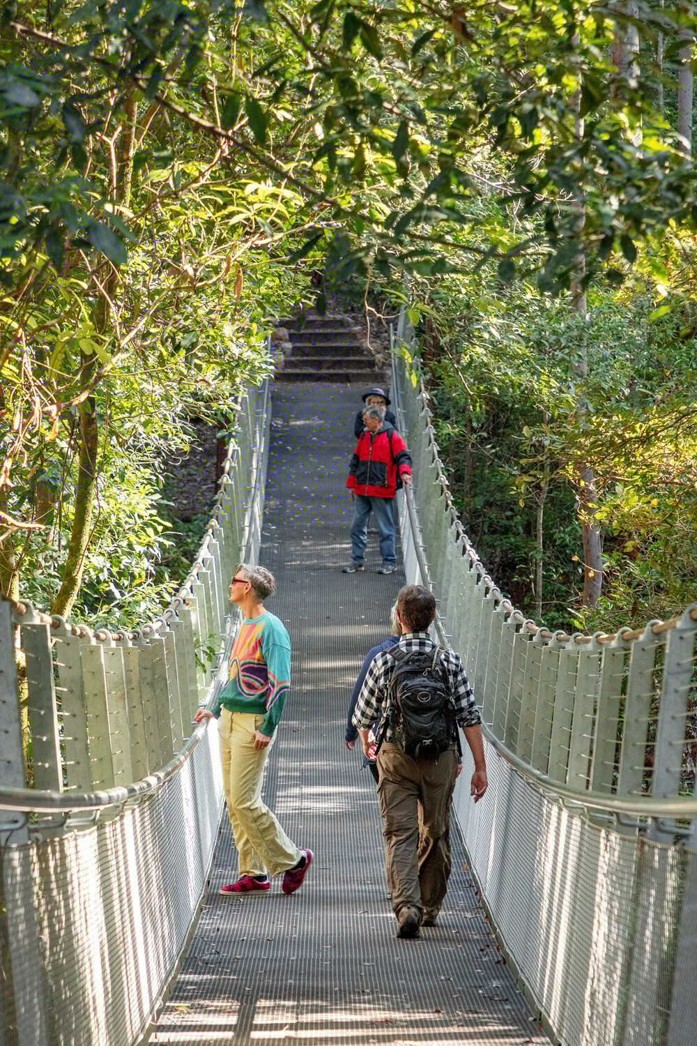 Pyes Creek Swing Bridge | Portfolio | FORGE
